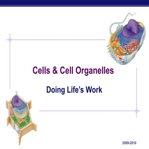 High School Biology: Cell Organelles and lifes work | PPTX