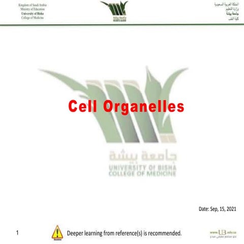 Cell Organelles 1 Pptx