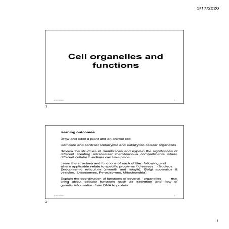 Presentation - Nucleus and GERL Complex.pdf