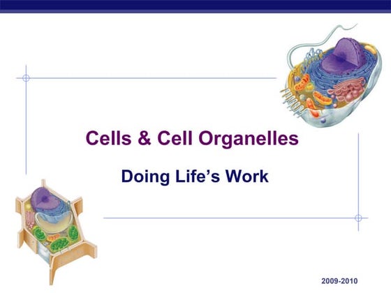 Cell Analogy Example | PPTX