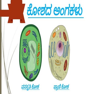 Cell organelles class 8th kannada medium | PDF
