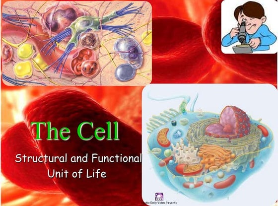 Lesson4 cell modifications | PPT