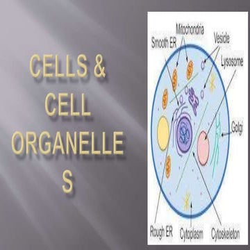A brief description on cell, cell theory and cell wall. | PPT