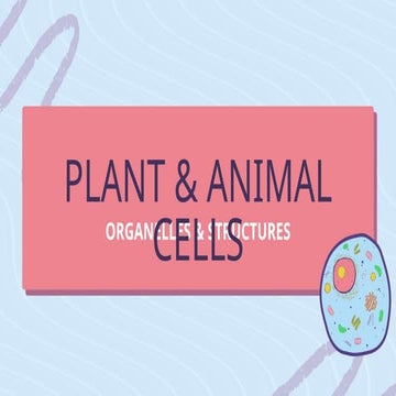 Cell Organelles & Structures Lesson Presentation in Blue and Pink Hand ...