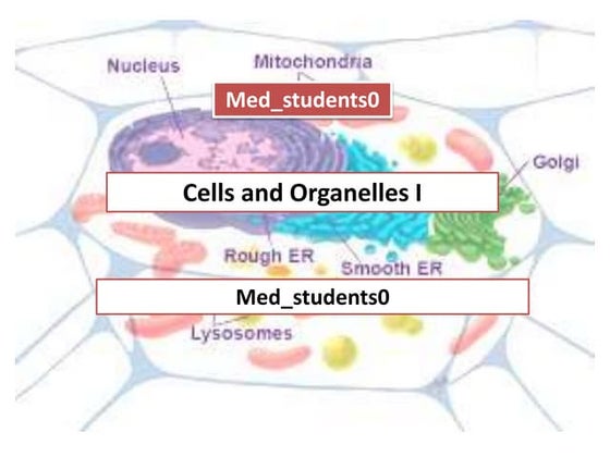 Structure of a human cell | PPT