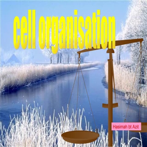Cell Organisation | PPT