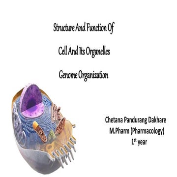 cell organisation .pptx