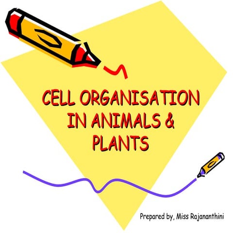 Cell organisation | PPT