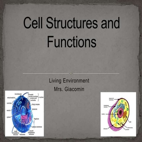 Cell part powerpoint | PPTX | Biological Sciences | Science