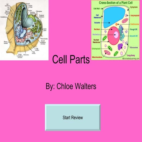 Cell parts | PPT | Biological Sciences | Science