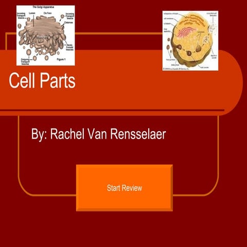 Cell Parts | PPT | Biological Sciences | Science