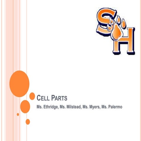 cell | PPT