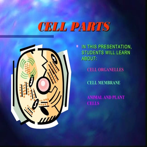 Cell parts | PPT