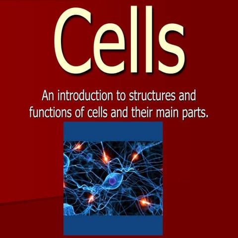 Cell Parts & Organelles.ppt