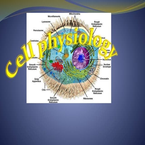 cell physiology.pptx
