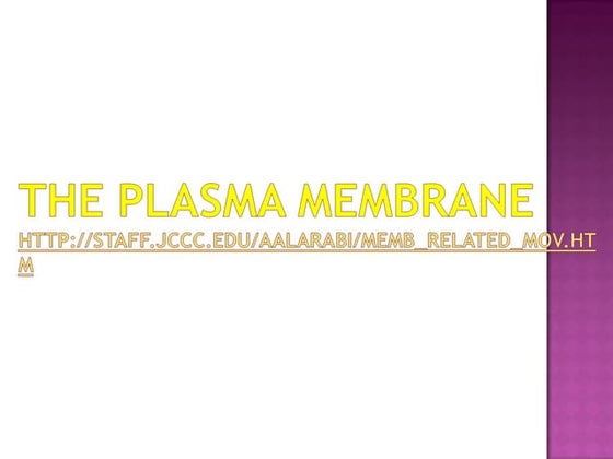Cell Membrane Presentation | PPT