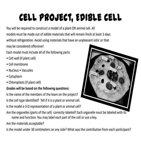 Cell project, edible cell | PPT