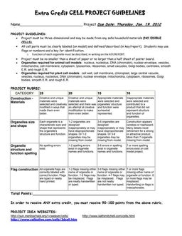 Cell model rubric | PDF