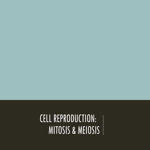 Grade 7 Cell Reproduction mitosis meiosis.ppt