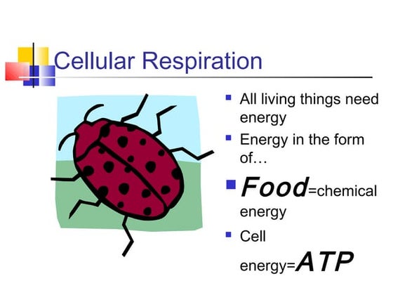 Gad core concepts | PPT
