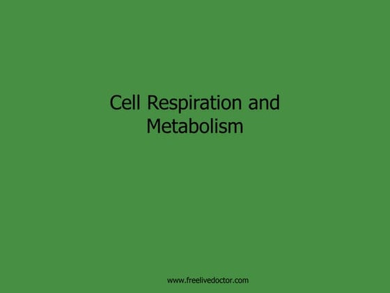Cellular respiration | PPTX
