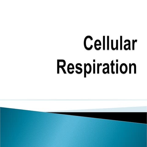 Cellular Respiration | PPTX