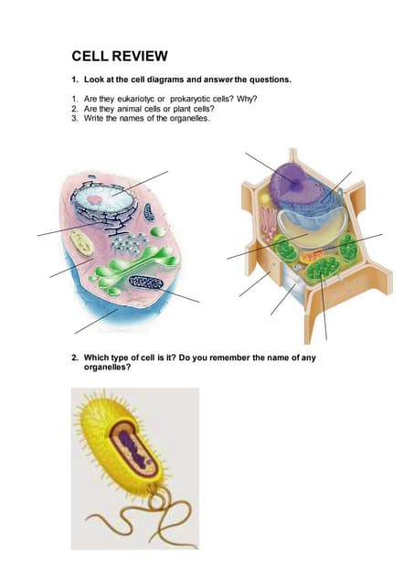 SCIENCE 2 life processes MCQ anurag.pptx
