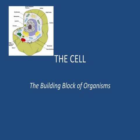 Cells | PPT