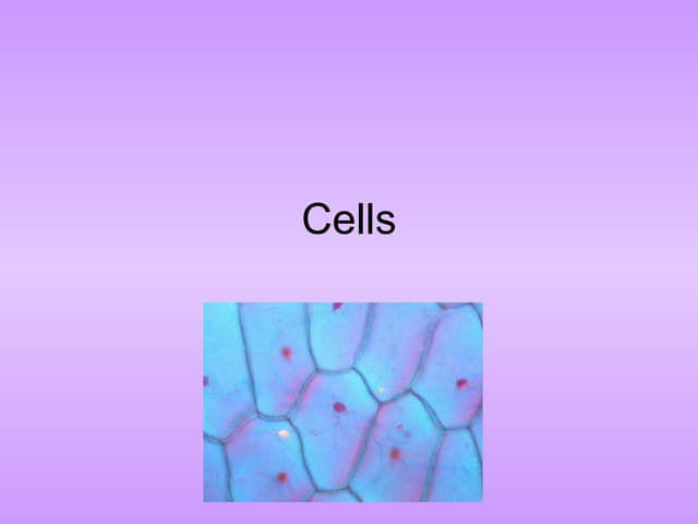 Cell theory & types of cells | PPTX