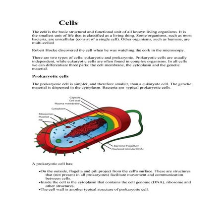 Cells | ODT | Biological Sciences | Science