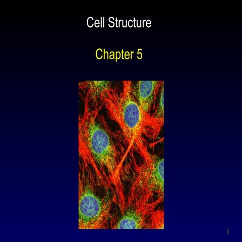 Cells | PPT