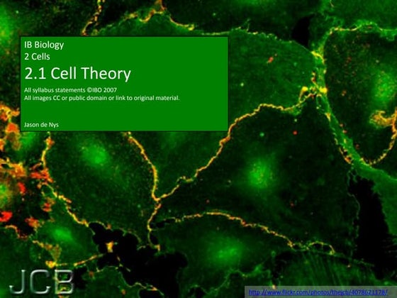 Cell Theory | PPT | Biological Sciences | Science