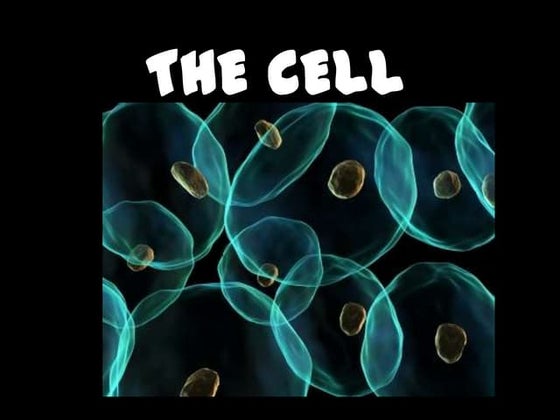 Grade11 life sciences practical task | PDF