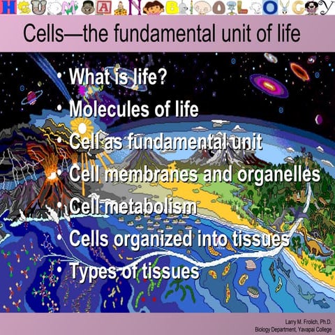 Cell Movement | PPT