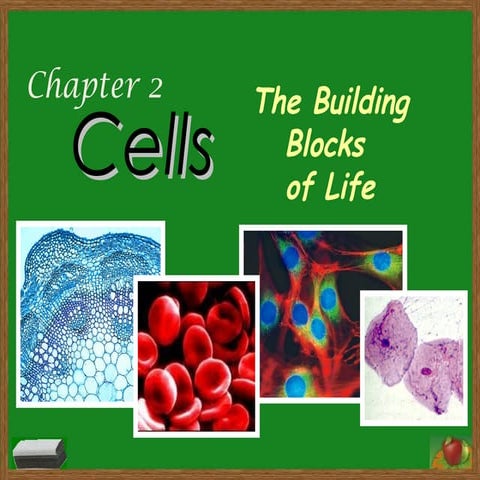 Cells | PPT