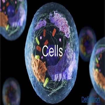 cells.pptx | Biological Sciences | Science