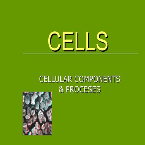 Biology chapter 2 | PPTX