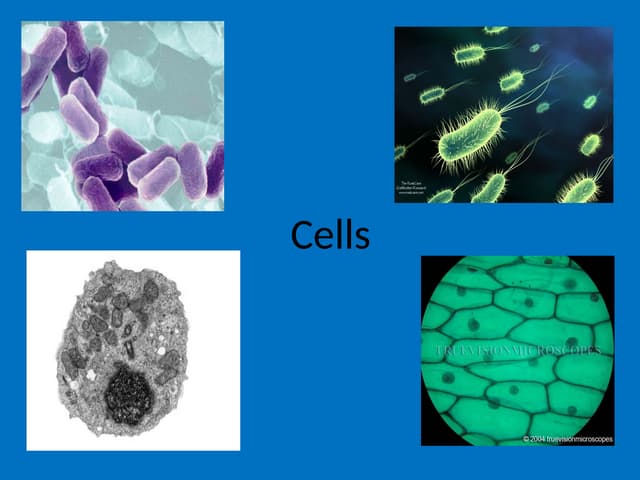Cell and cell theory | PPTX