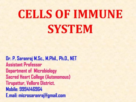 Cells of the immune system | PPT
