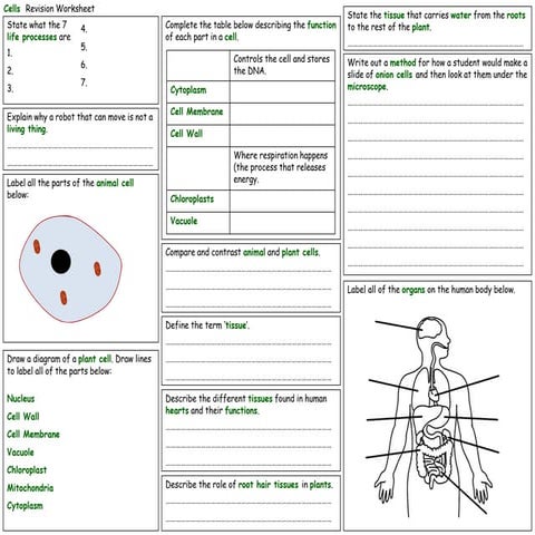 Cells-Revision-Worksheet-1 secondary school | PDF