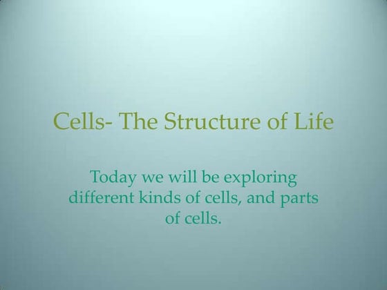 Animal vs plant cells.pptx