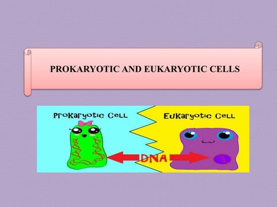 Prokaryotic &eukaryotic cells | PPTX | Biological Sciences | Science