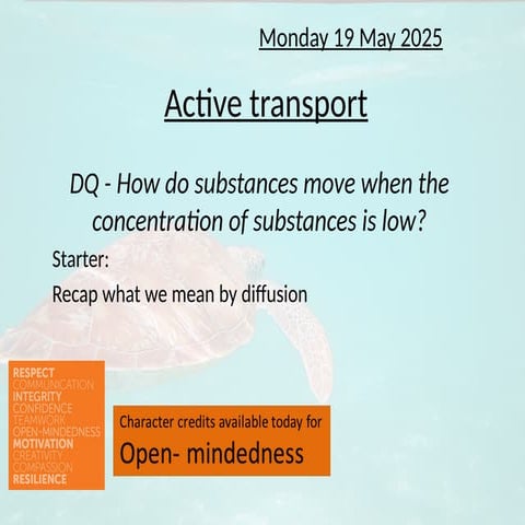 Cells 18 Active transport.Complete powerpoint | PPT