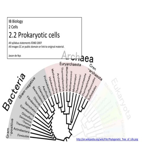 IB Biology Core 2.2: Prokaryotic Cells | PPTX