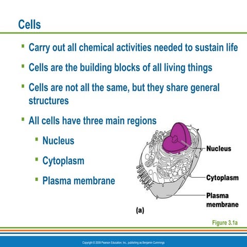 Cells2015 | PPT
