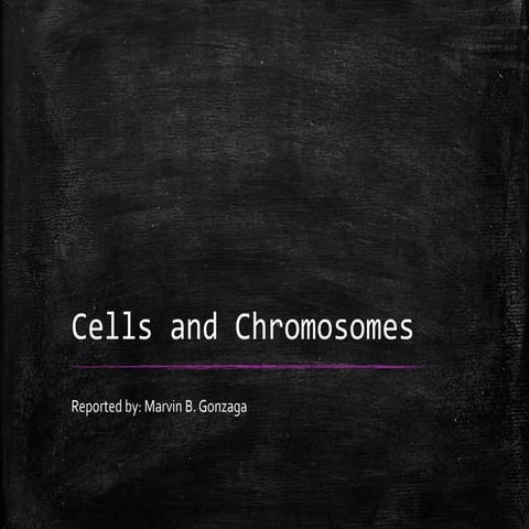 Cells and chromosomes | PPTX