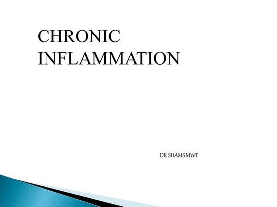 Chronic Inflammation. Pdf | PDF
