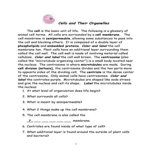 Cells and organelles | DOC