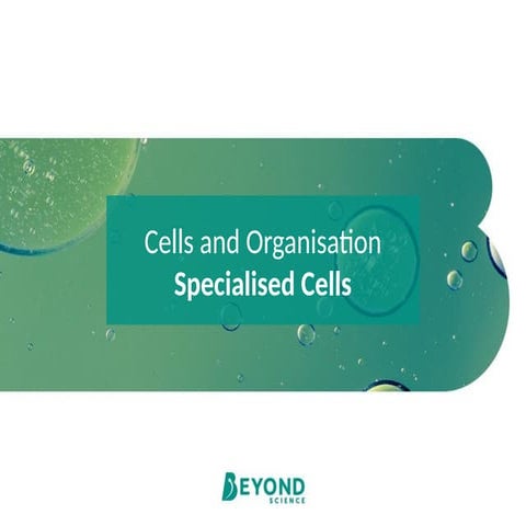 Specialized Cells, Biology | PPTX
