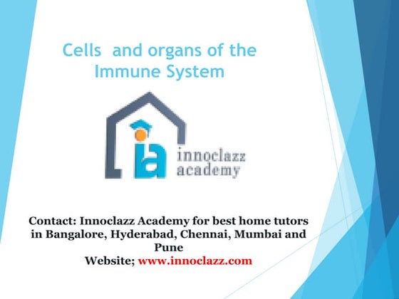 Immune System Power Point Ppt 2291